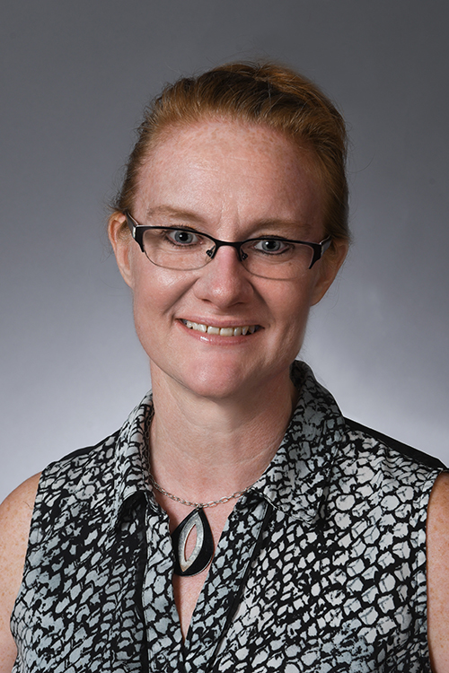 Amy L. Daniels, PhD, RN, CHSE-A - UMB Experts Guide