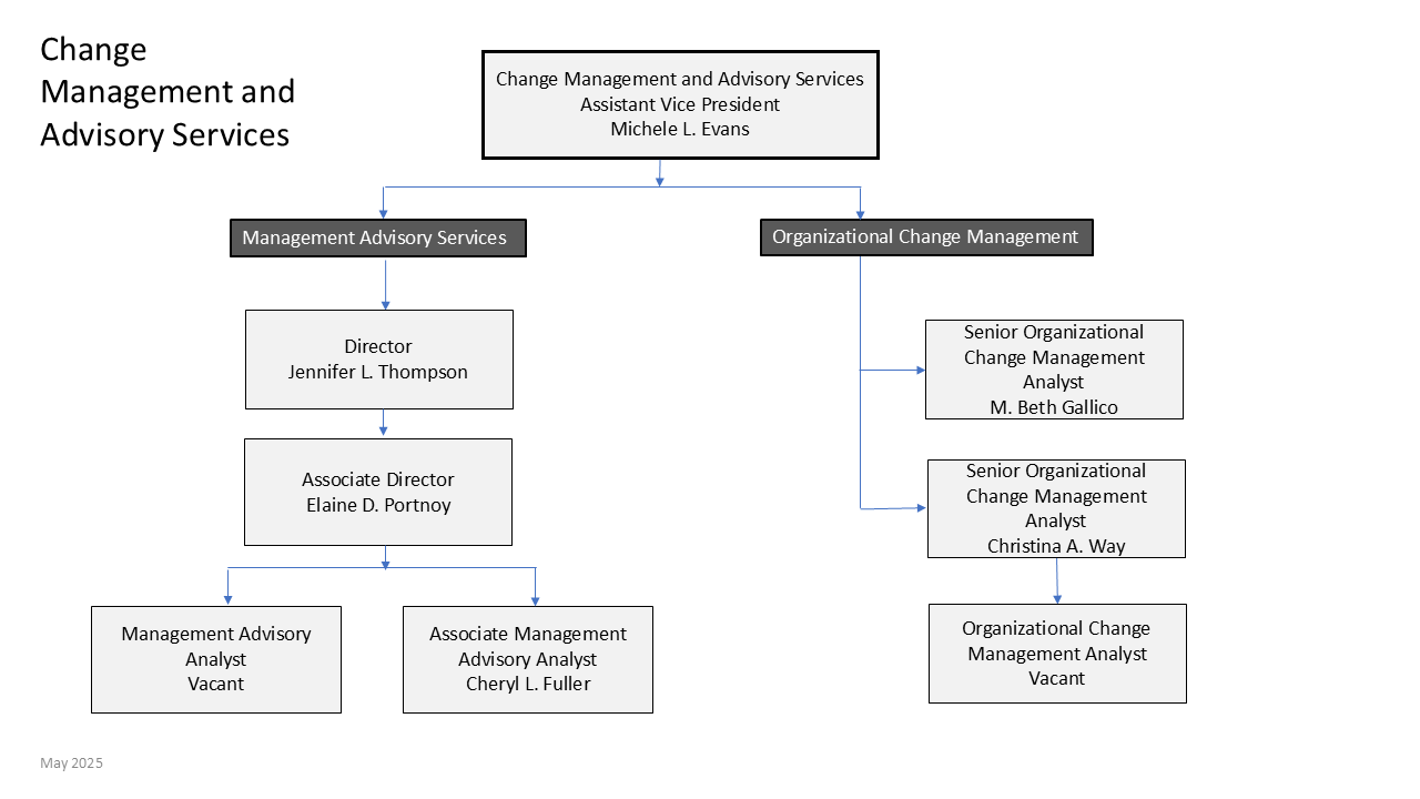 Organizational Chart - Change Management and Advisory Services