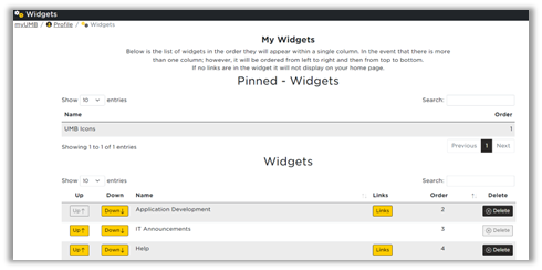 Customizing Your Widgets and Links - Center for Information Technology ...