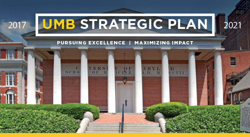 Progress Report - Strategic Plan