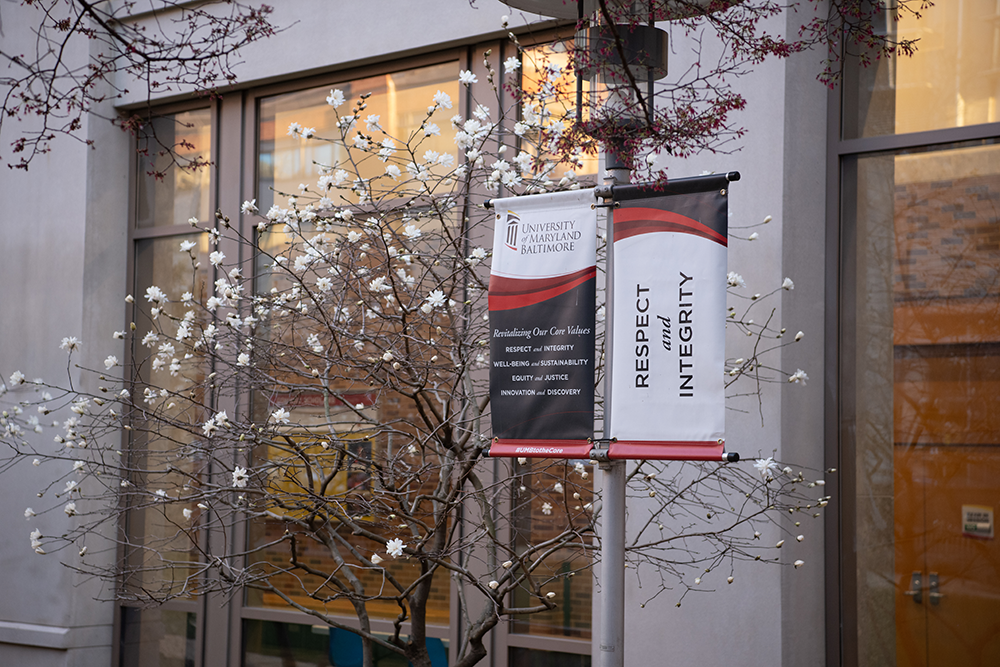 Careers at UMB - Human Resources