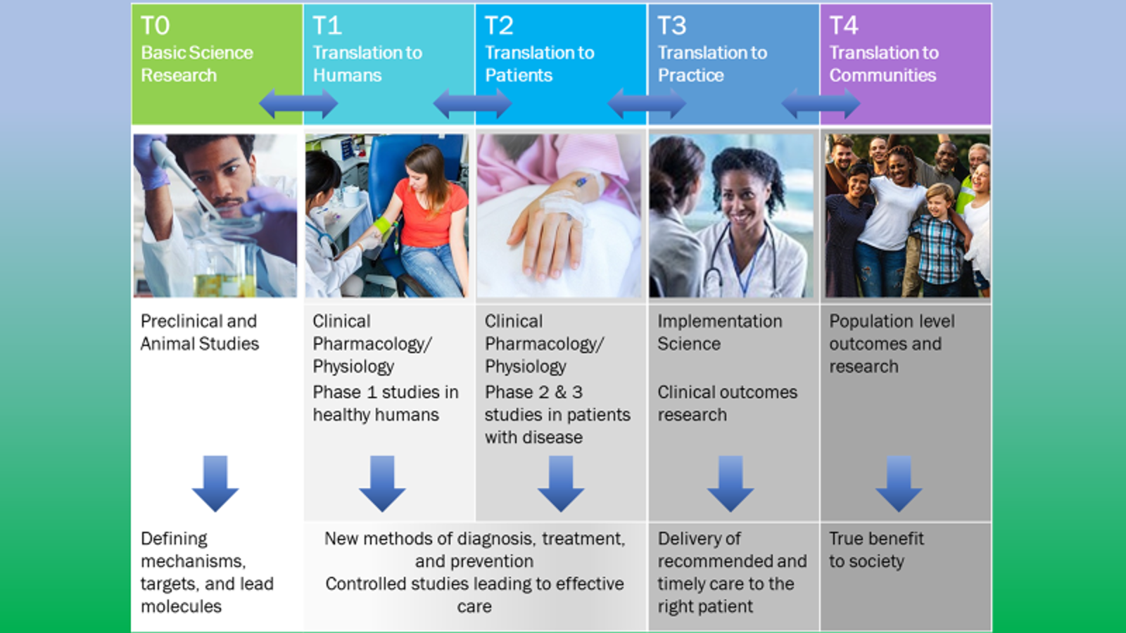 Education and Training - Institute for Clinical & Translational ...