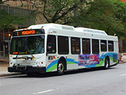 Transportation - Parking and Transportation Services